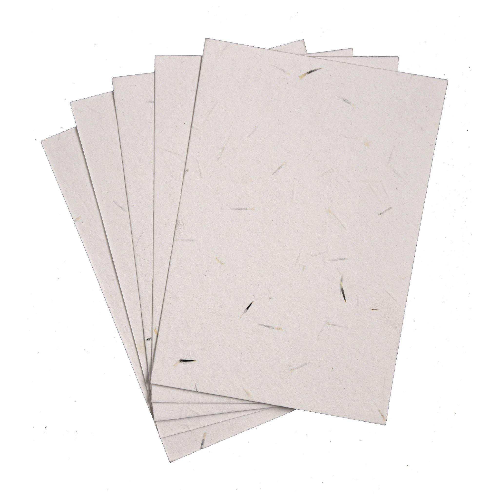 Plantable Seed Paper | Sustainable Handmade Cotton Paper with Seeds